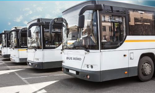 Charter Bus Rental Near Me in Maryland, USA: BUSXOXO Transportation